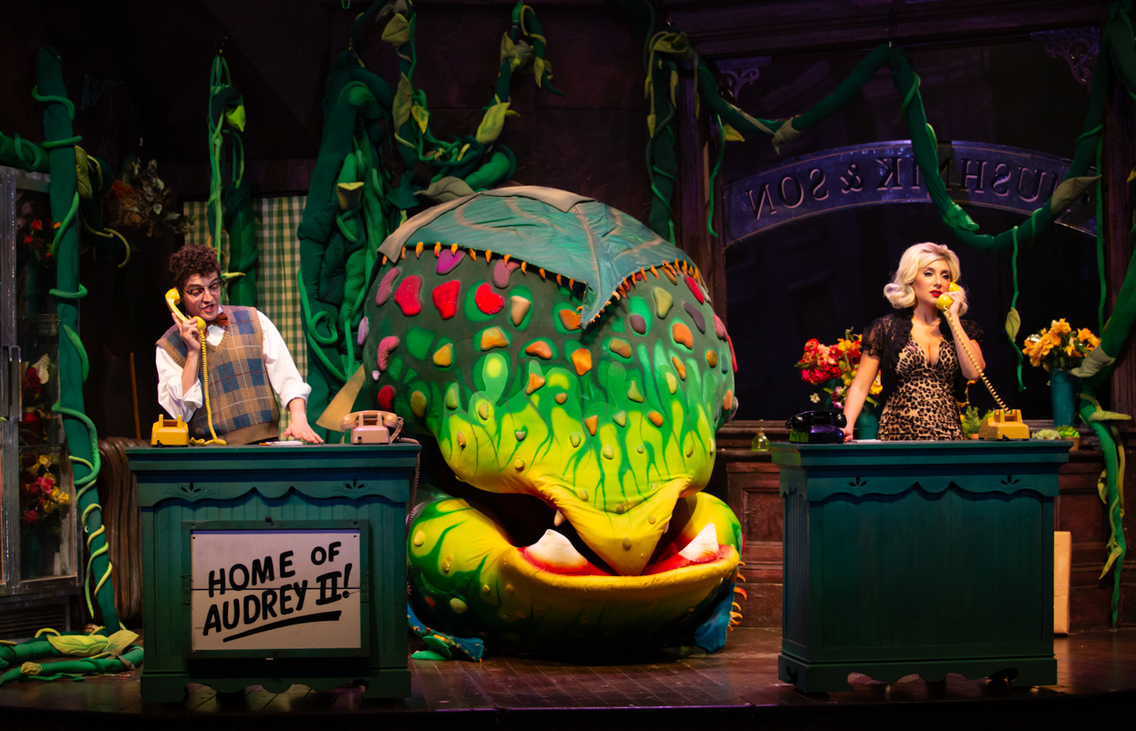 Review: 5-Star Theatricals' 'Little Shop of Horrors' Sates Theatregoers ...