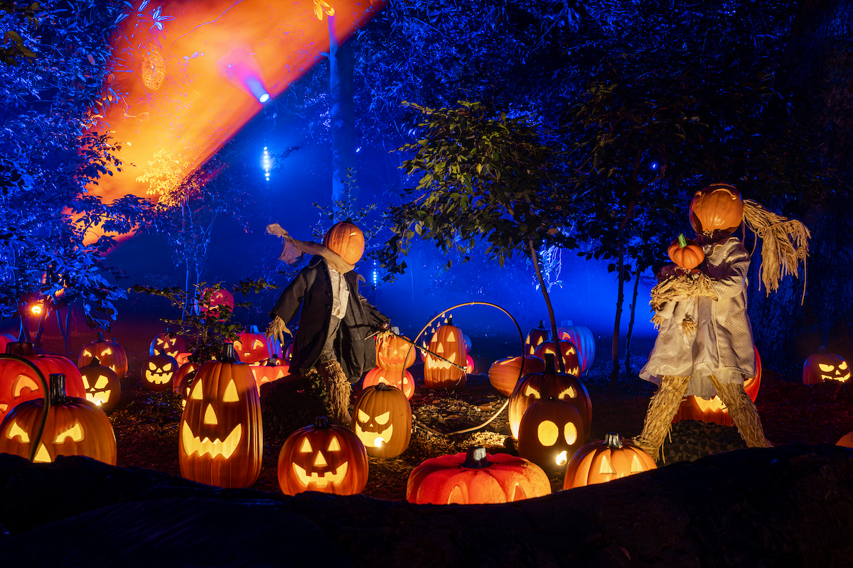 Gourd-geous installations abound in the Pumpkin Trail of Carved ...