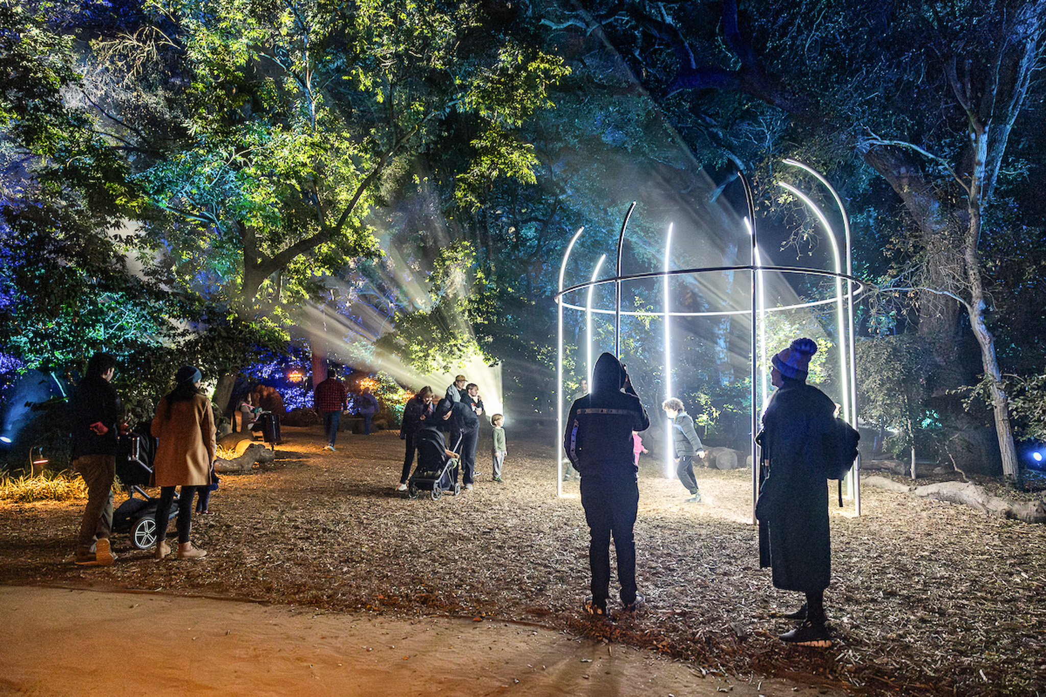 The Fantasy Forest offers a dose of whimsy at Enchanted Forest of Light ...